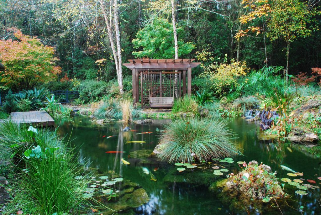 Bubble Bead® Filters: All-in-One Mechanical Filtration & Biofilter