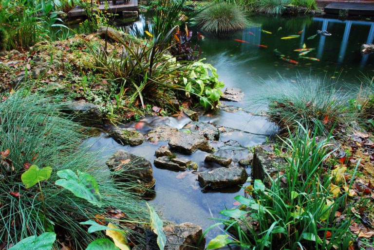 Bubble Bead® Filters: All-in-One Mechanical Filtration & Biofilter