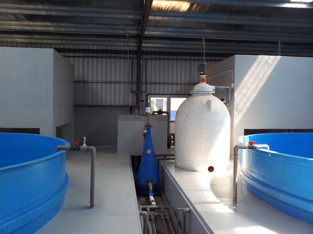 AST Filters: Recirculating Aquaculture Systems & Aquaculture Filters