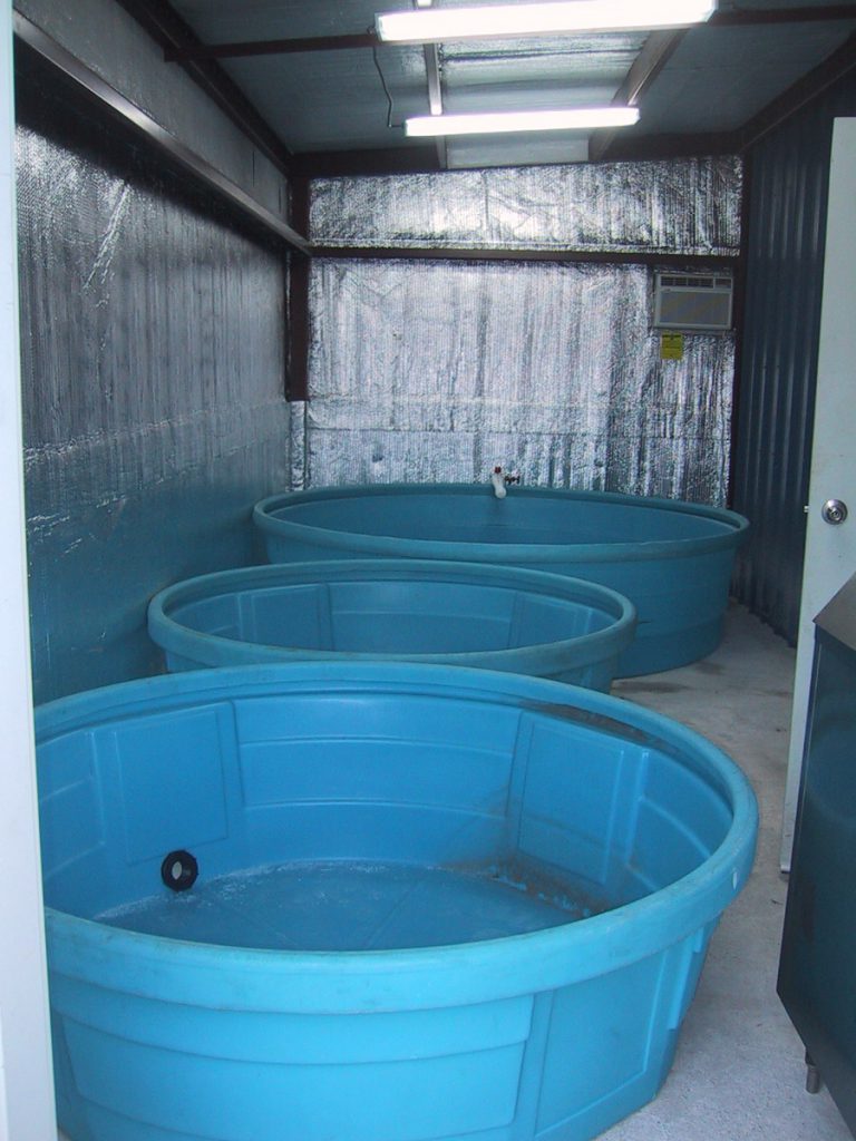 Bubble Bead® Filters: All-in-One Mechanical Filtration & Biofilter