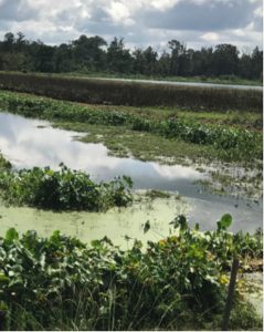 AST: Advanced Wastewater Treatment Systems & Industrial Water Filters